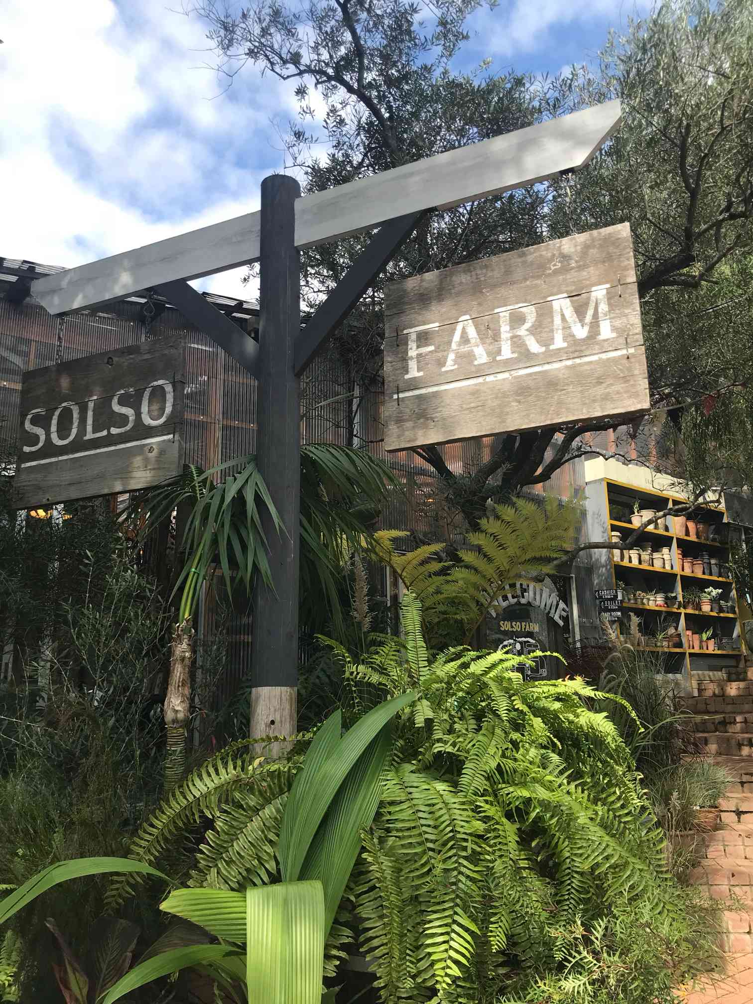 SOLSO FARM 訪問記録 2🌈｜🍀GreenSnap（グリーンスナップ）