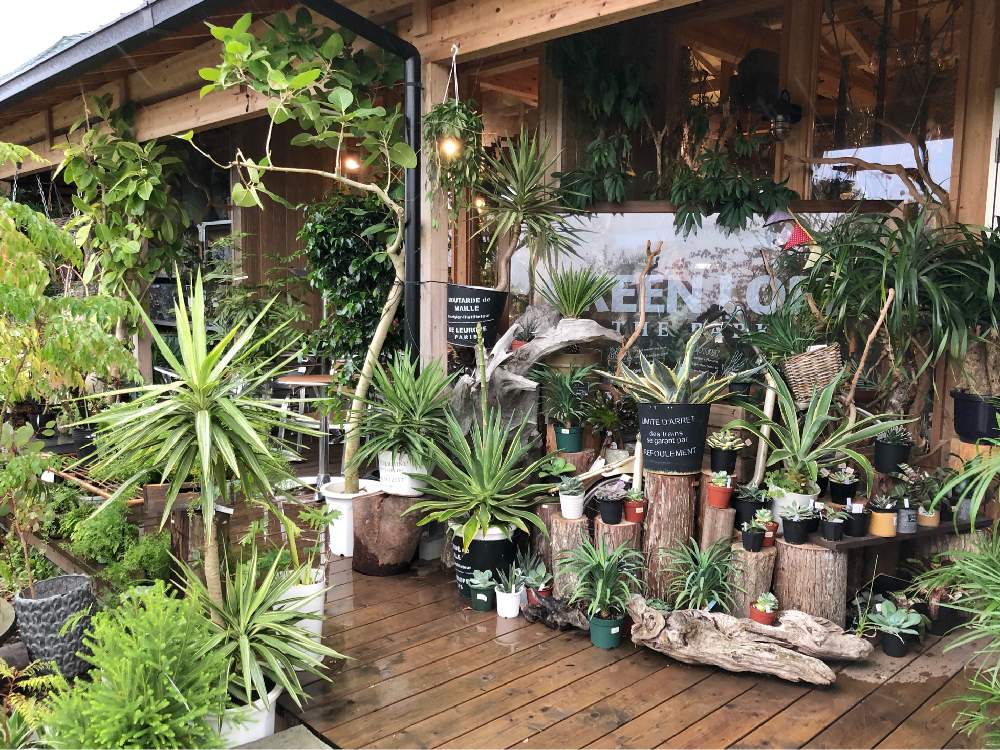 GREEN LOFT THE PARK｜🍀GreenSnap（グリーンスナップ）