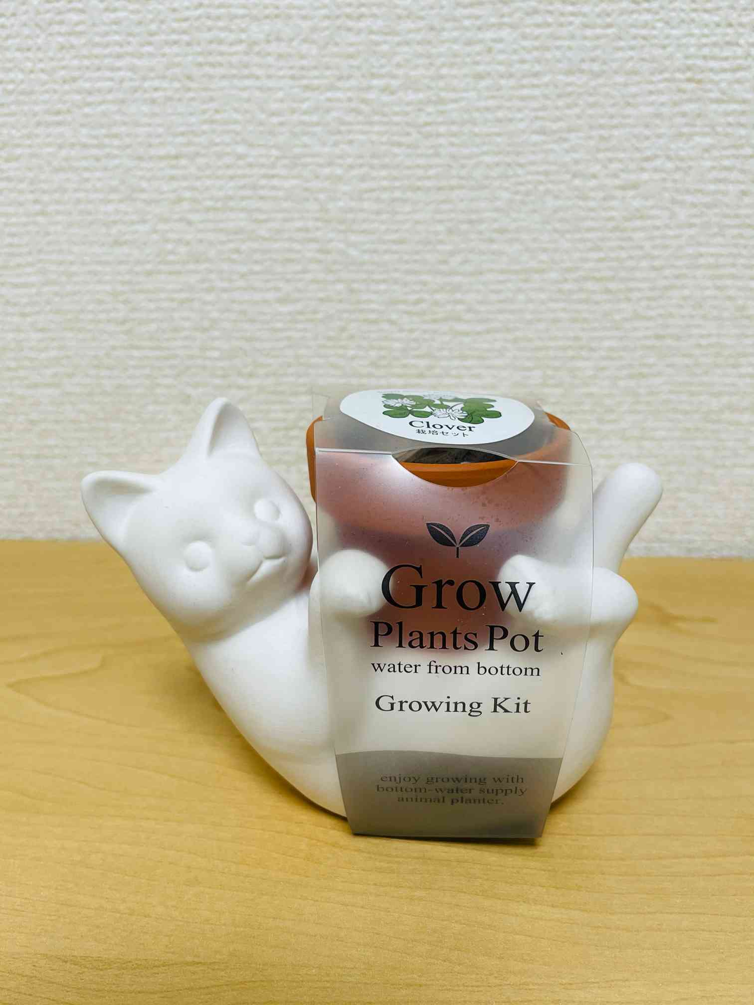 「Pot Friends」作ってみました！｜🍀GreenSnap（グリーンスナップ）