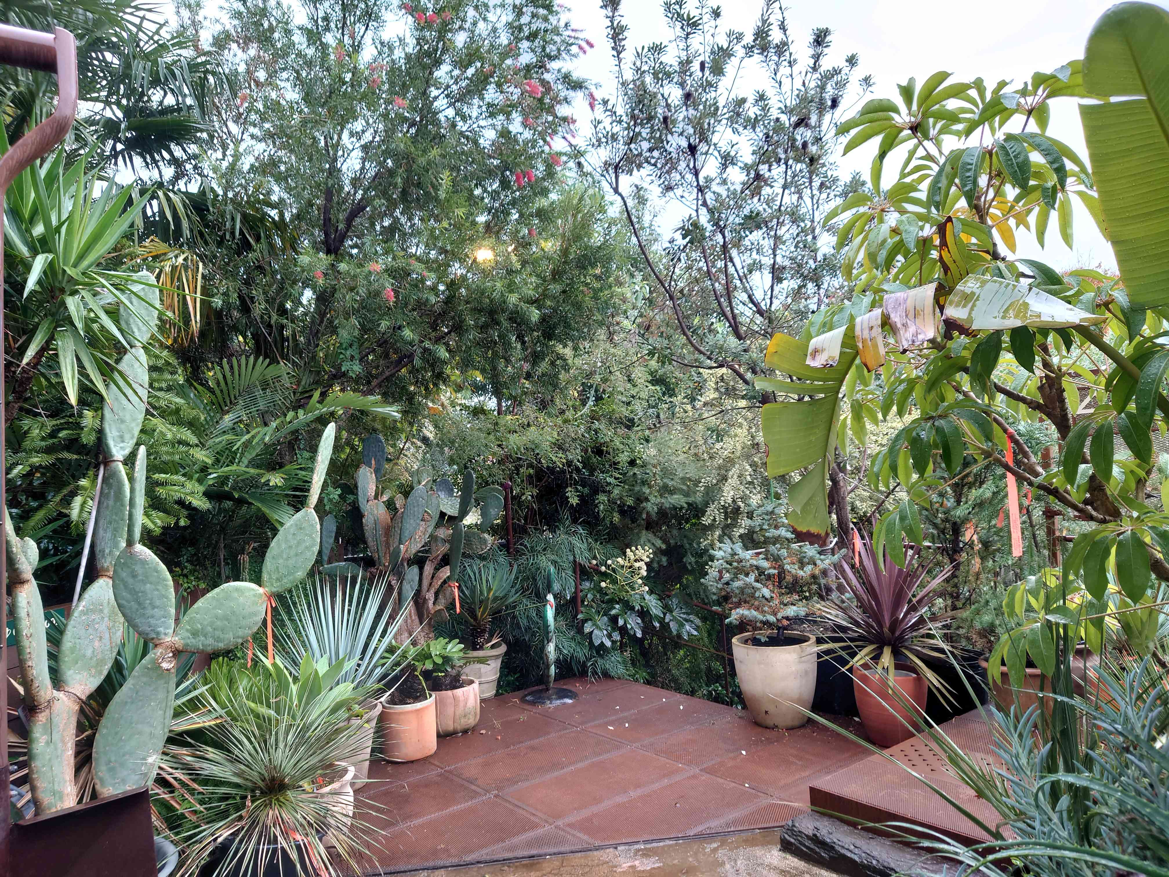 A Rainy＆SpringDay in SOLSO FARM｜🍀GreenSnap（グリーンスナップ）