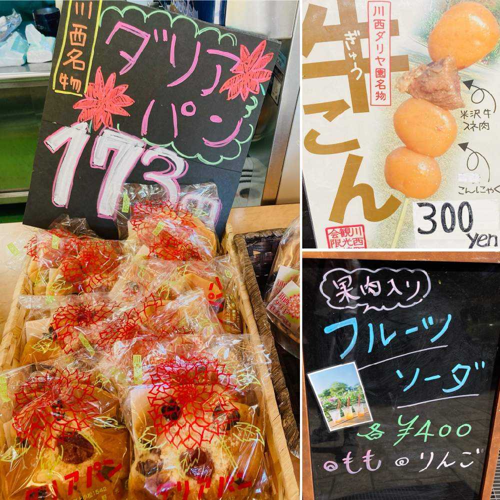 川西ダリヤ園1️⃣｜🍀GreenSnap（グリーンスナップ）