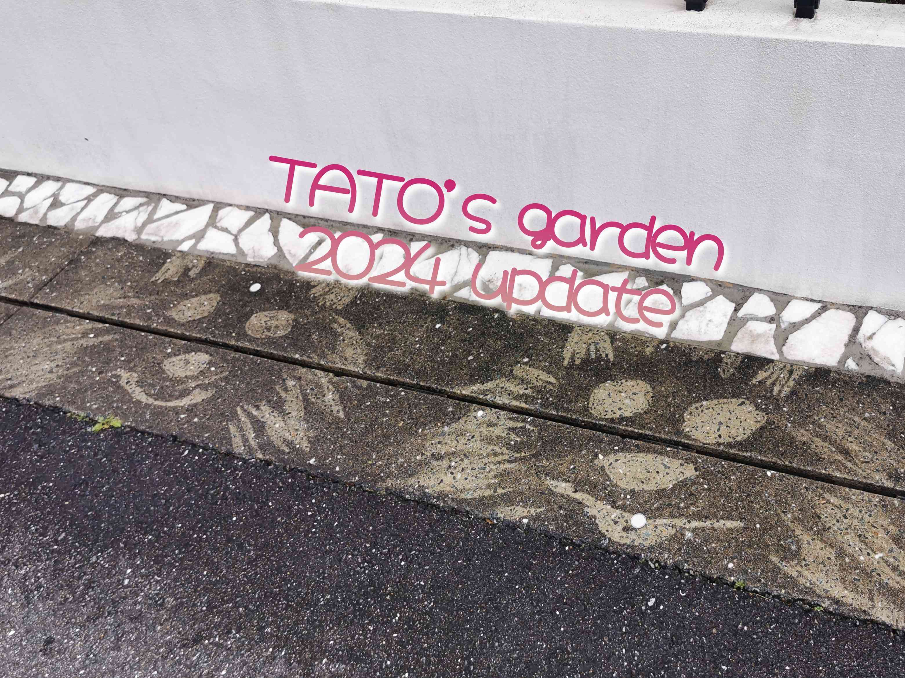 2024年 TATOの庭更新情報｜🍀GreenSnap（グリーンスナップ）