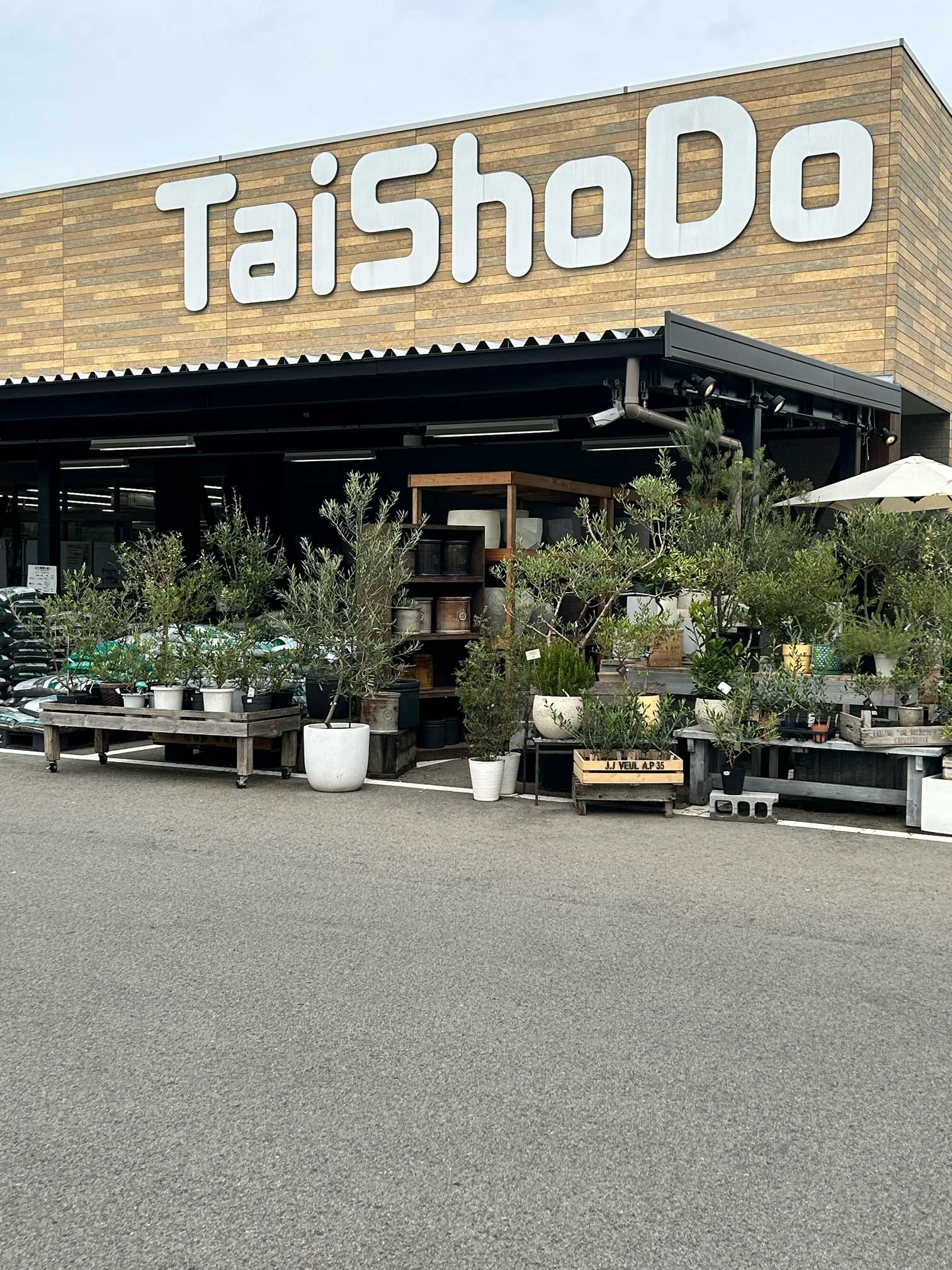 TaiShoDo 行ってきました｜🍀GreenSnap（グリーンスナップ）