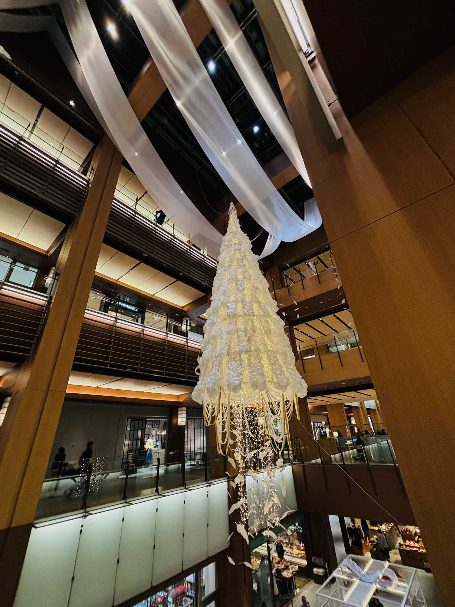 東京ミッドタウン｜🍀GreenSnap（グリーンスナップ）