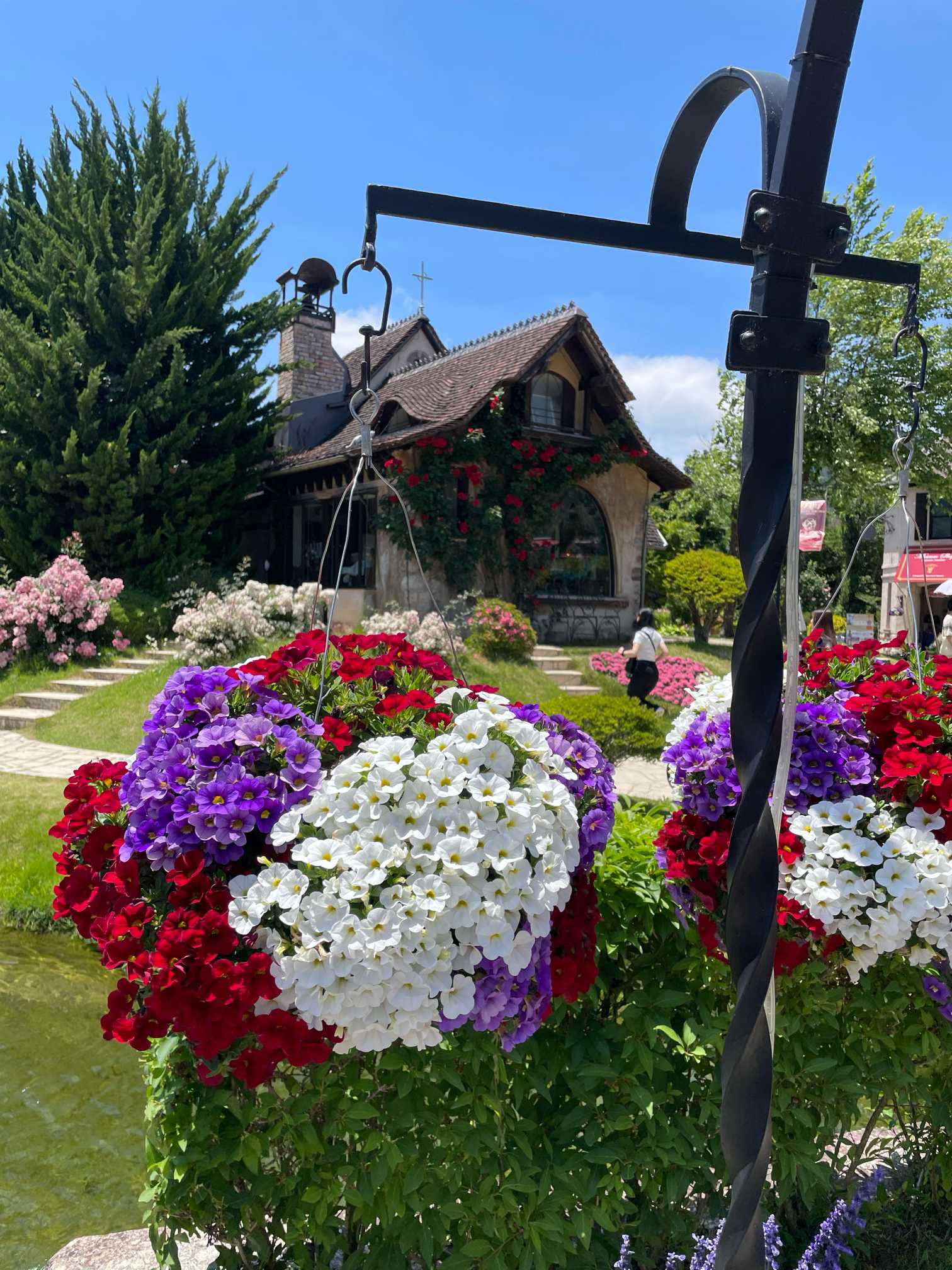 爽やかな河口湖の畔で🌹バラとオルゴール作りを楽しむ｜🍀GreenSnap（グリーンスナップ）